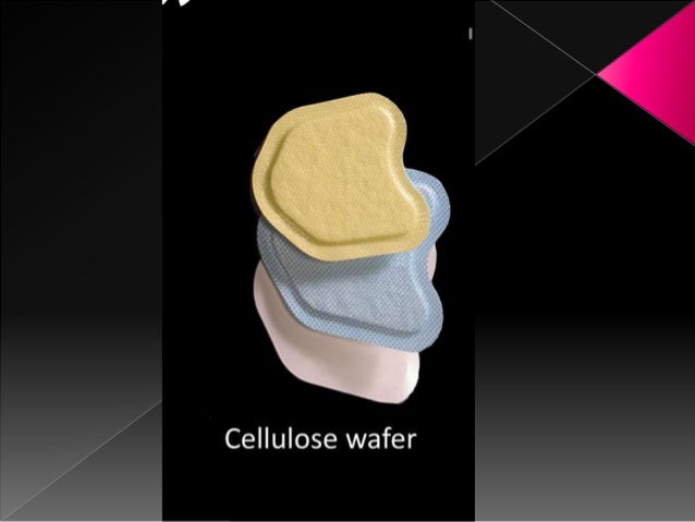isolation in endodontics