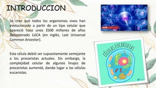 Endosimbiosis (2).pptx