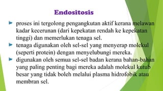 Endositosis | PPT