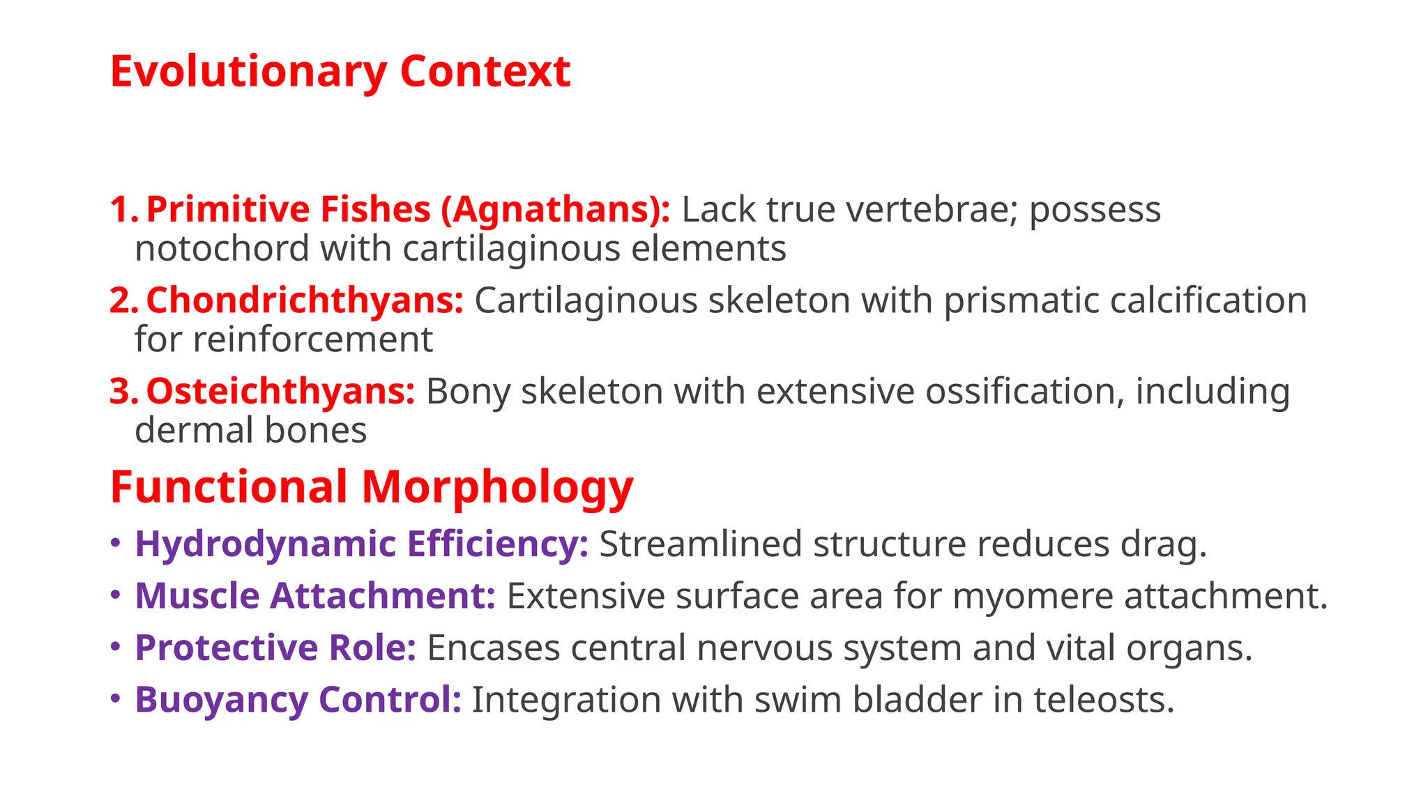 Endoskeleton in Fishes. B.Sc. Zoology (Honors) | PPTX