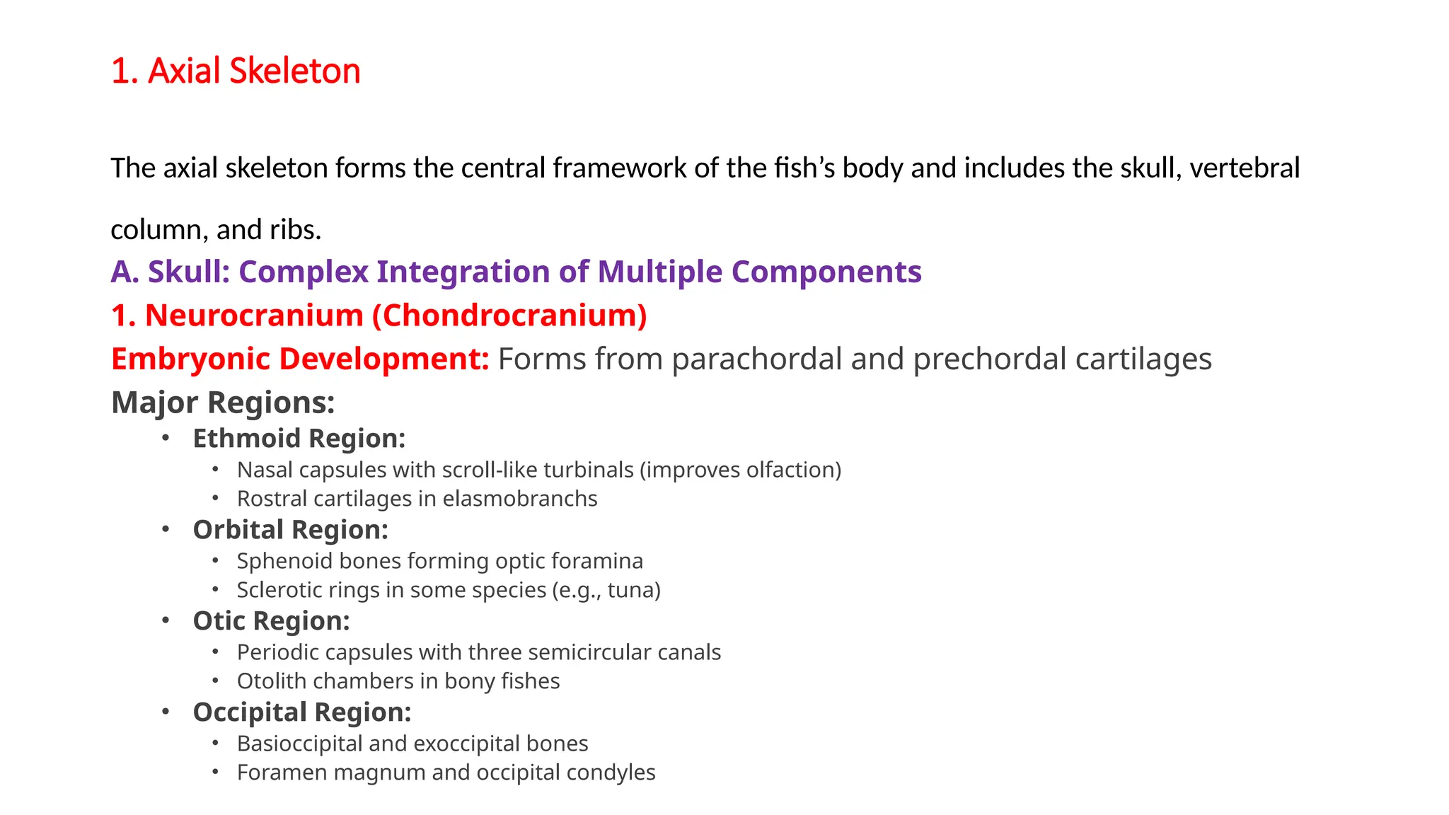 Endoskeleton in Fishes. B.Sc. Zoology (Honors) | PPTX