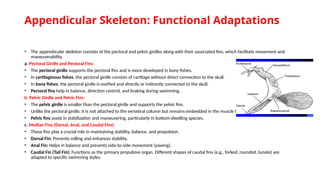 Endoskeleton in Fishes. B.Sc. Zoology (Honors) | PPTX