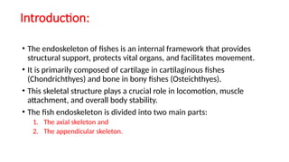 Endoskeleton in Fishes. B.Sc. Zoology (Honors) | PPTX