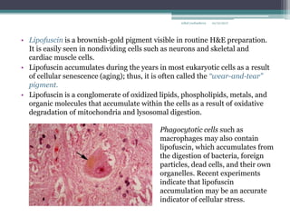 Endosomes.Peroxisomes. Proteasomes Cytoplasmic inclusions | PPTX