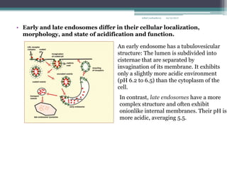 Endosomes.Peroxisomes. Proteasomes Cytoplasmic inclusions | PPTX