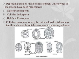 Endosperm | PPTX