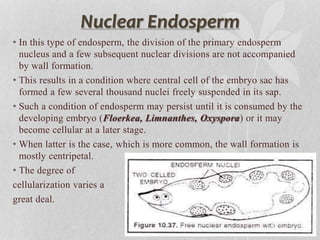 Endosperm | PPTX