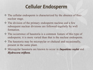 Endosperm | PPTX