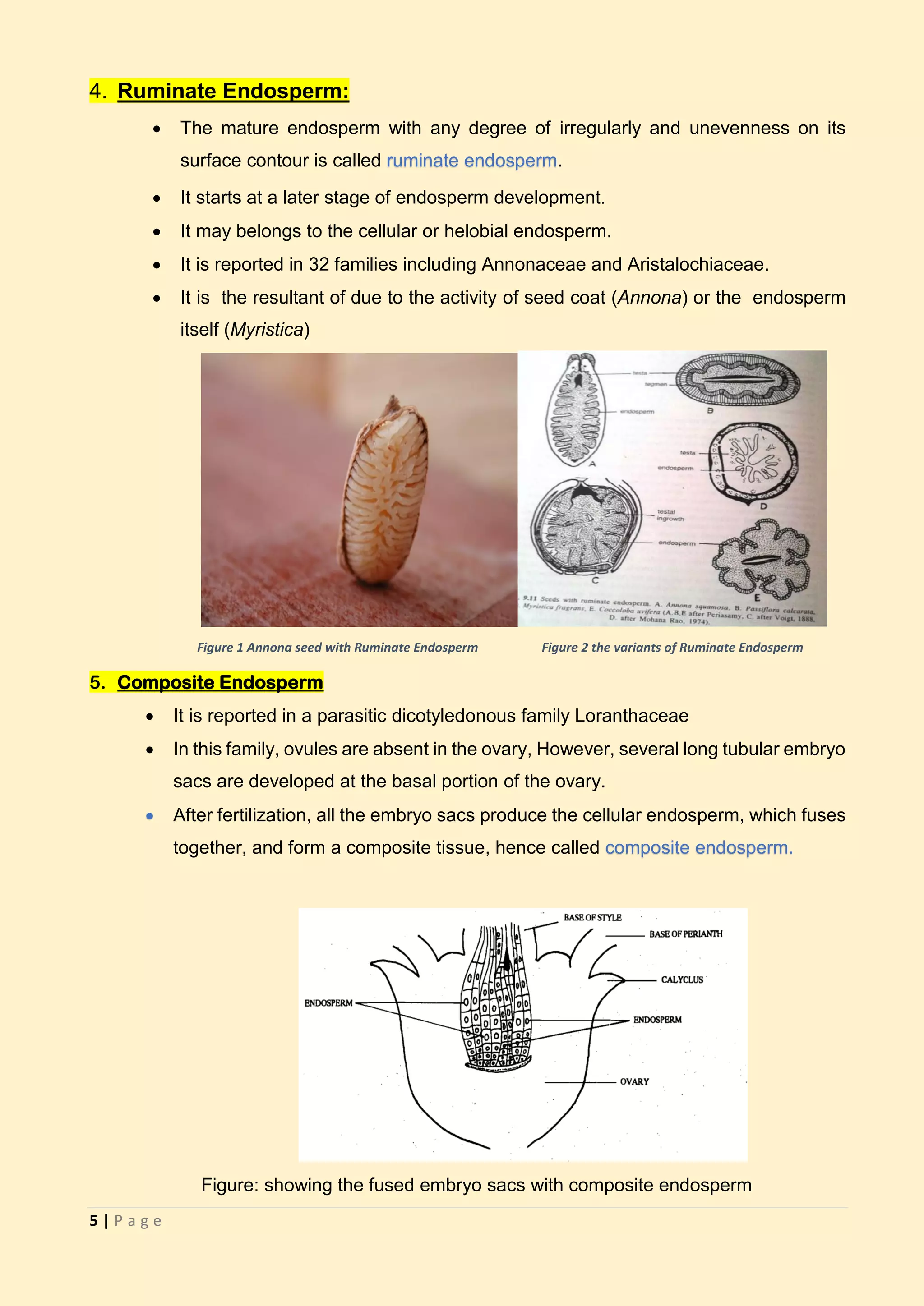 Endosperm in Angiosperms | PDF