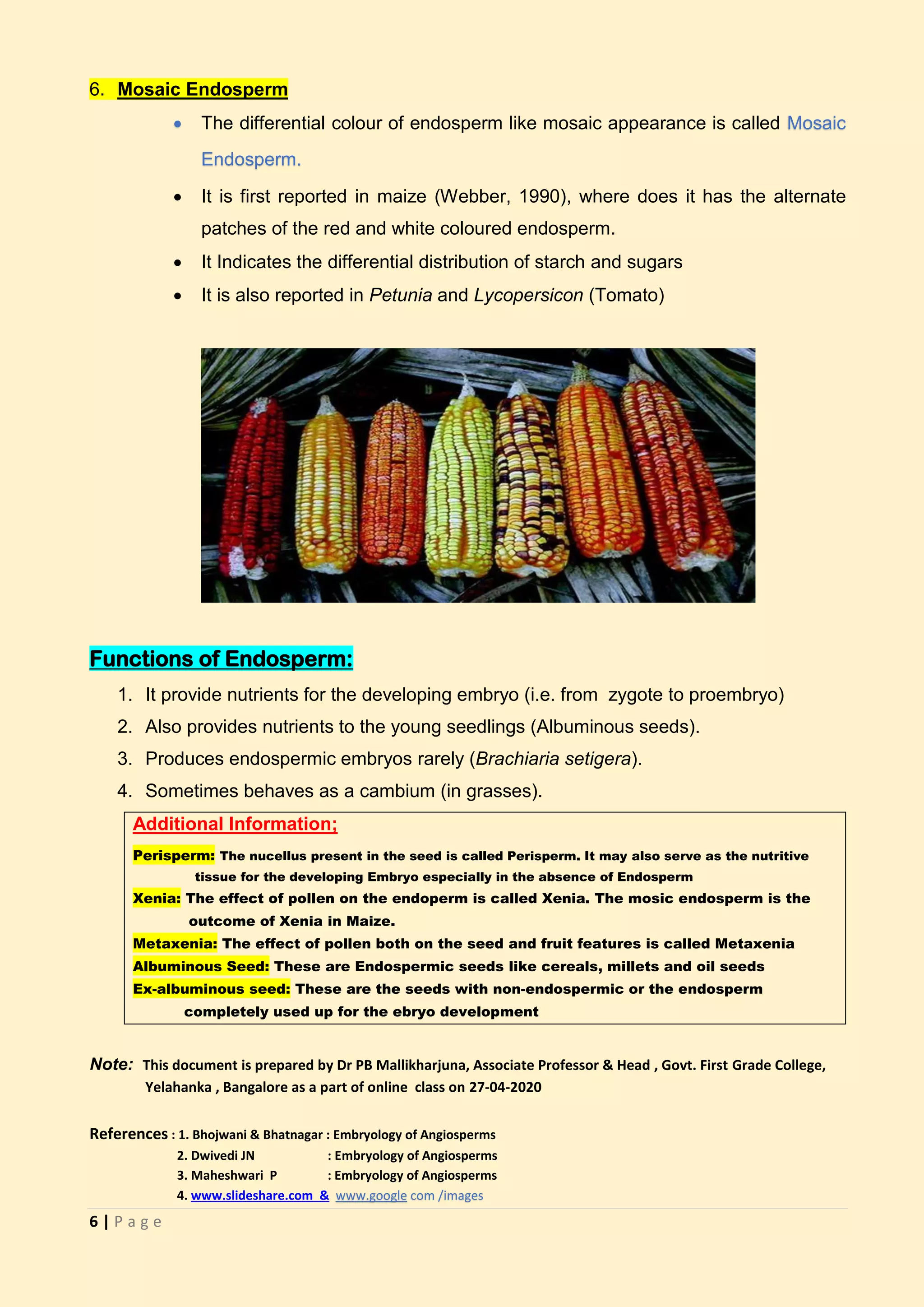 Endosperm in Angiosperms | PDF