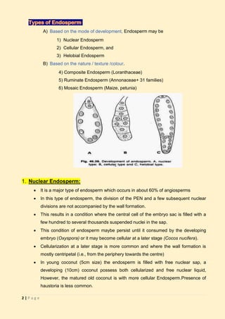 Endosperm in Angiosperms | PDF