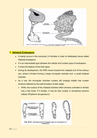 Endosperm in Angiosperms | PDF