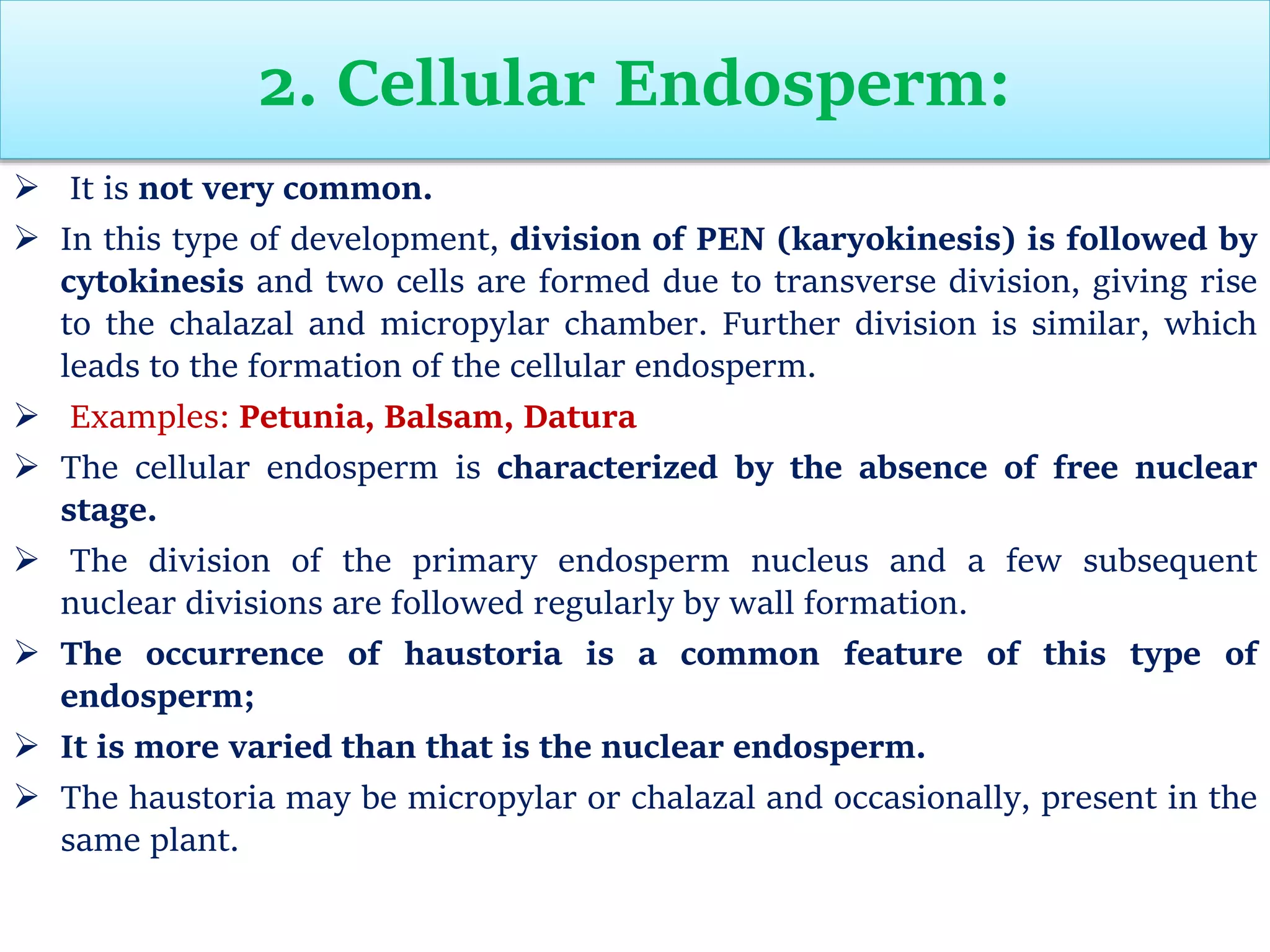 ENDOSPERM.pptx