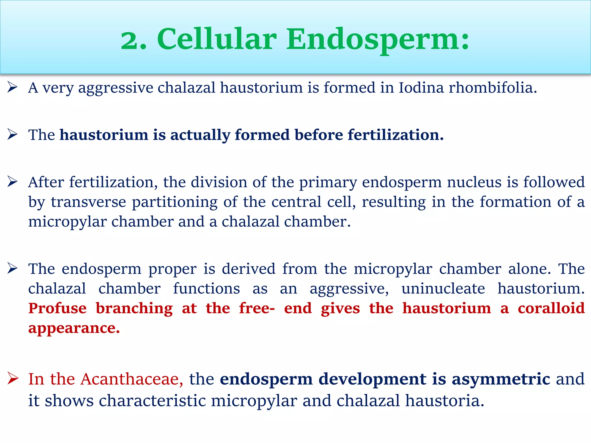 ENDOSPERM.pptx