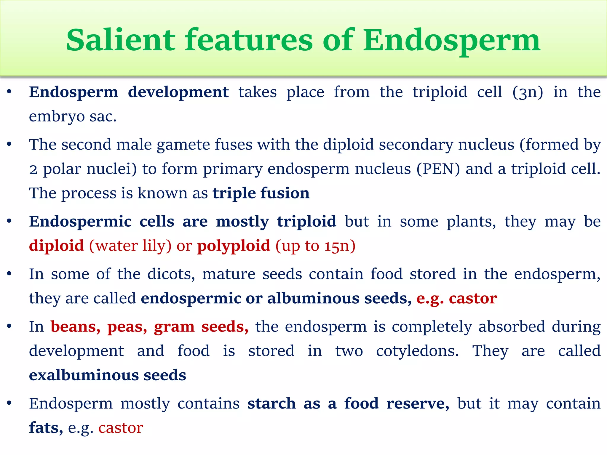 ENDOSPERM.pptx