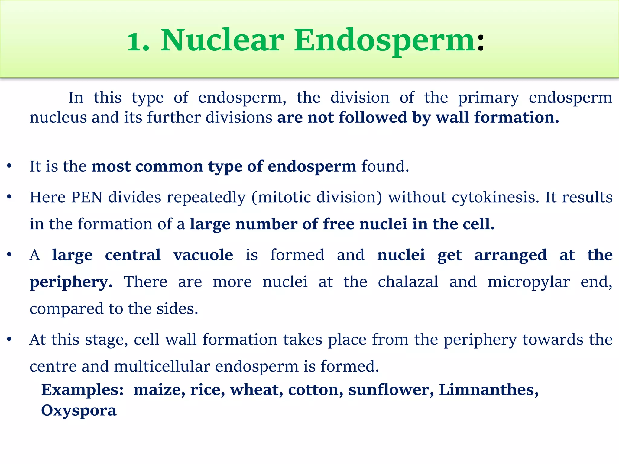 ENDOSPERM.pptx