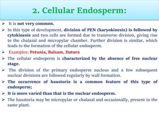 ENDOSPERM.pptx