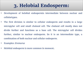 ENDOSPERM.pptx