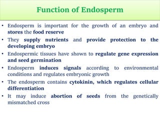 ENDOSPERM.pptx