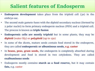 ENDOSPERM.pptx