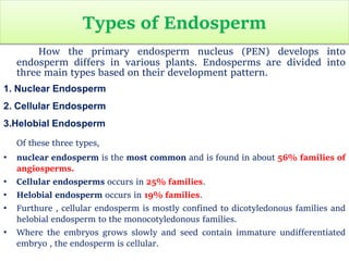 ENDOSPERM.pptx