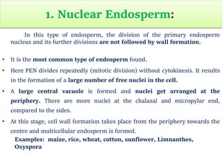ENDOSPERM.pptx