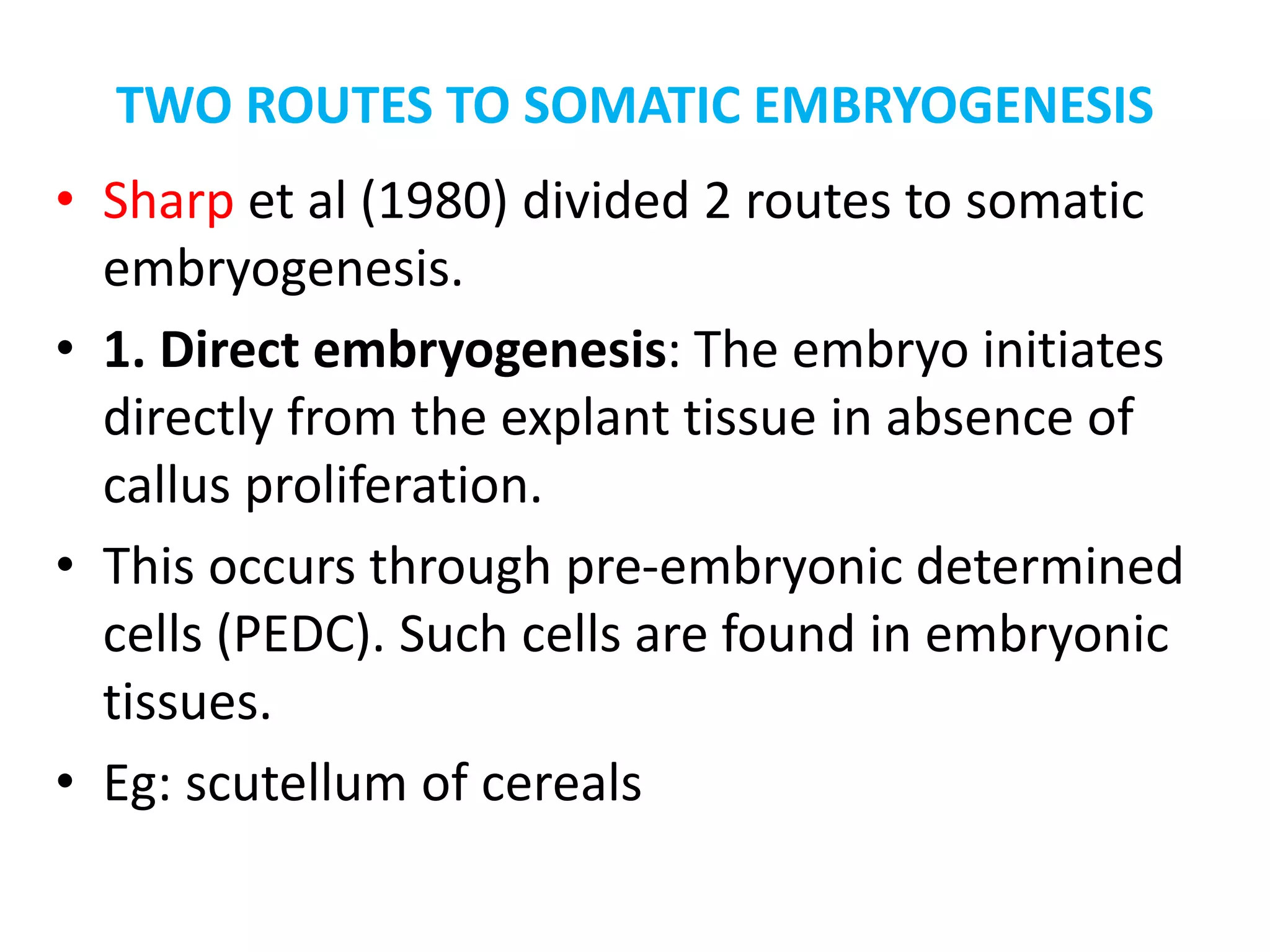 Endosperm culture and somatic embryogenesis | PPTX