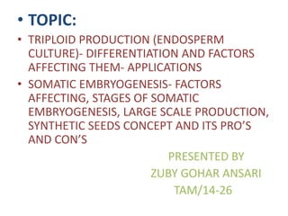 Endosperm culture and somatic embryogenesis | PPTX