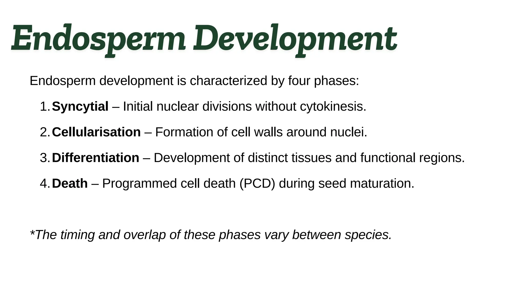 Endosperm Development Presentation (Description, Phases) | PDF
