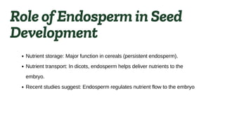 Endosperm Development Presentation (Description, Phases) | PDF