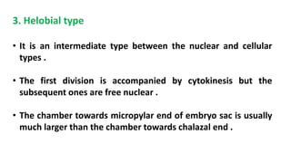 Endosperm development | PPTX