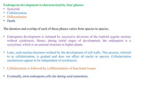 ENDOSPERM DEVELOPMENT.pptxhshshshshshshsh | PPT