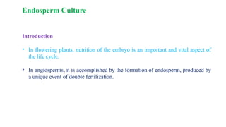 ENDOSPERM DEVELOPMENT.pptxhshshshshshshsh | PPT
