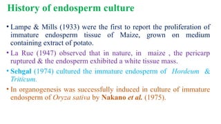 ENDOSPERM DEVELOPMENT.pptxhshshshshshshsh | PPTX