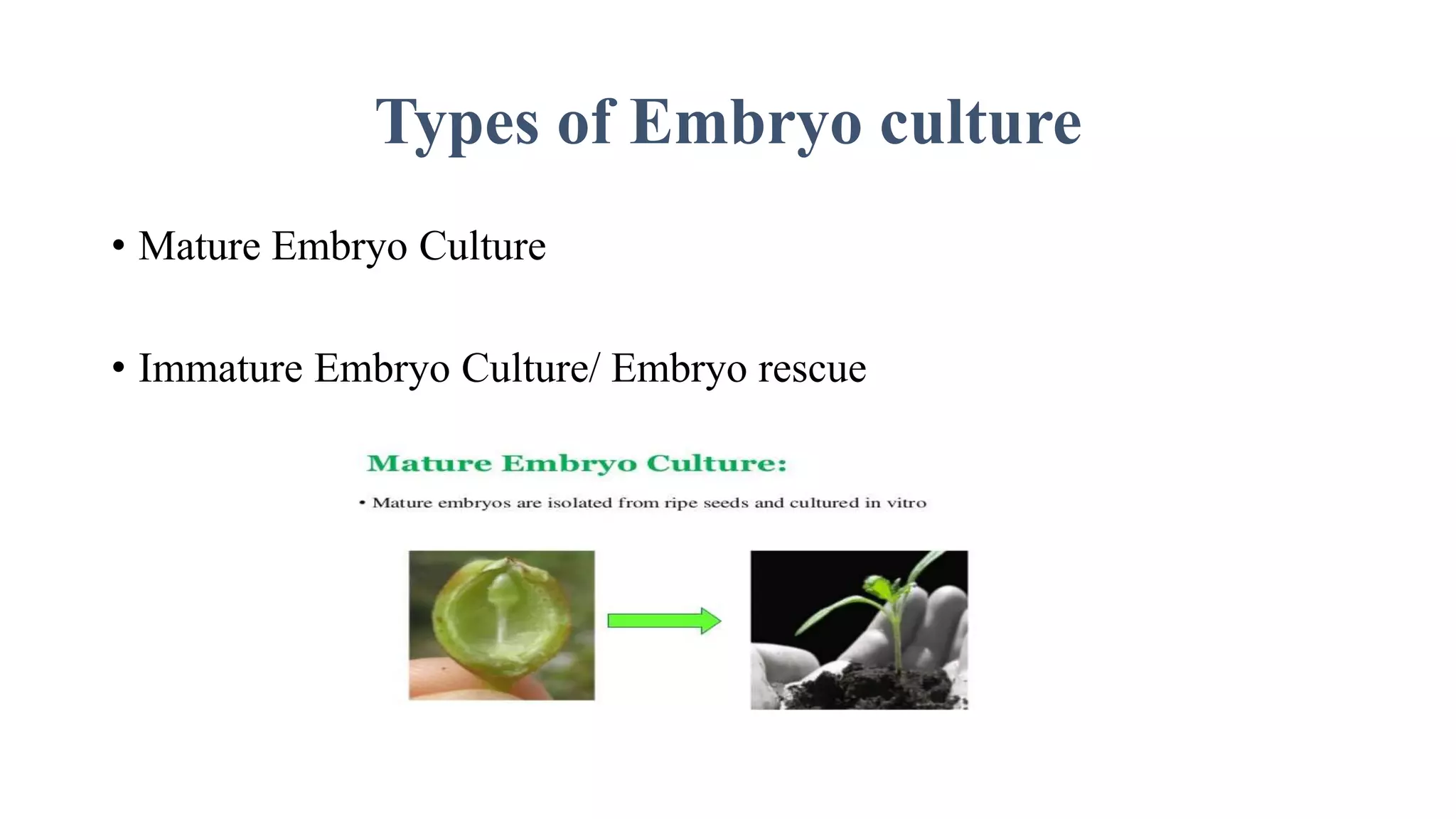 Endosperm and embryo culture | PPTX