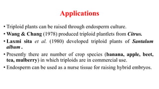 Endosperm and embryo culture | PPTX