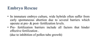 Endosperm and embryo culture | PPTX