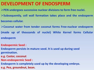 Endosperms | PPTX