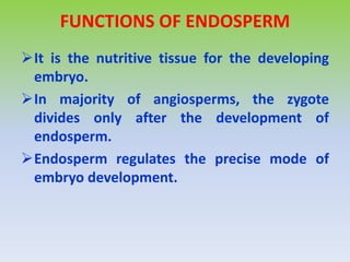 Endosperms | PPTX