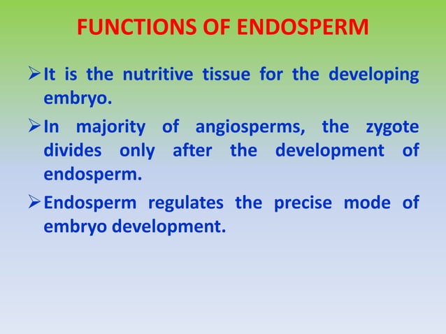 Endosperms | PPTX | Biological Sciences | Science