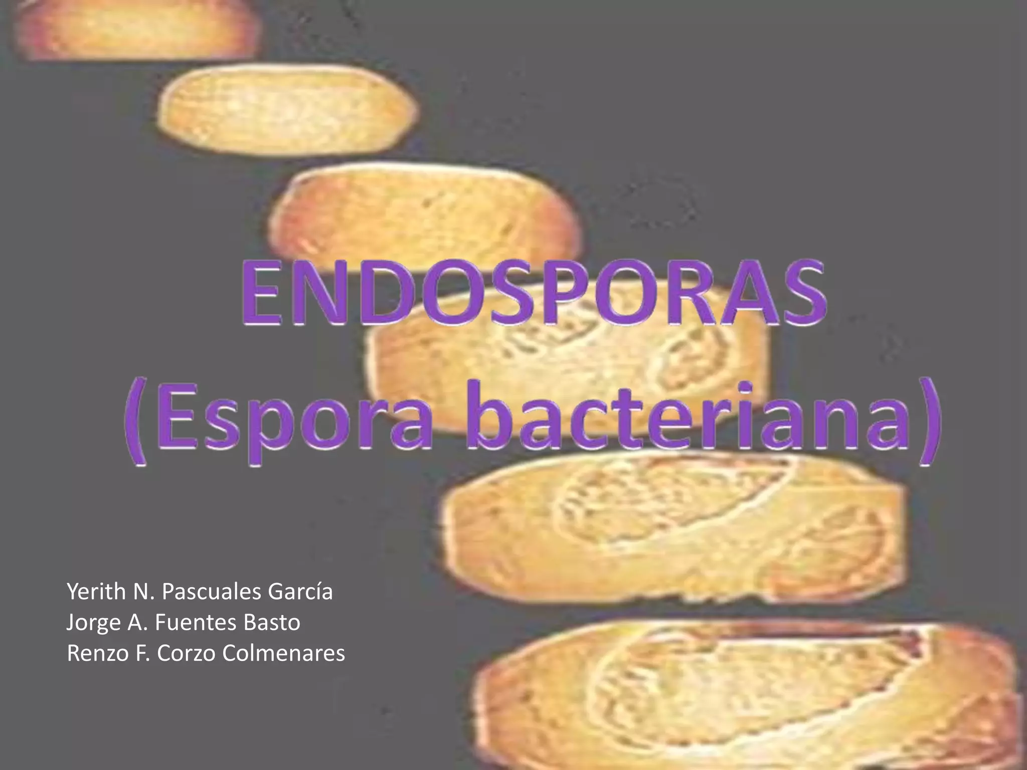 Endospora Ppt
