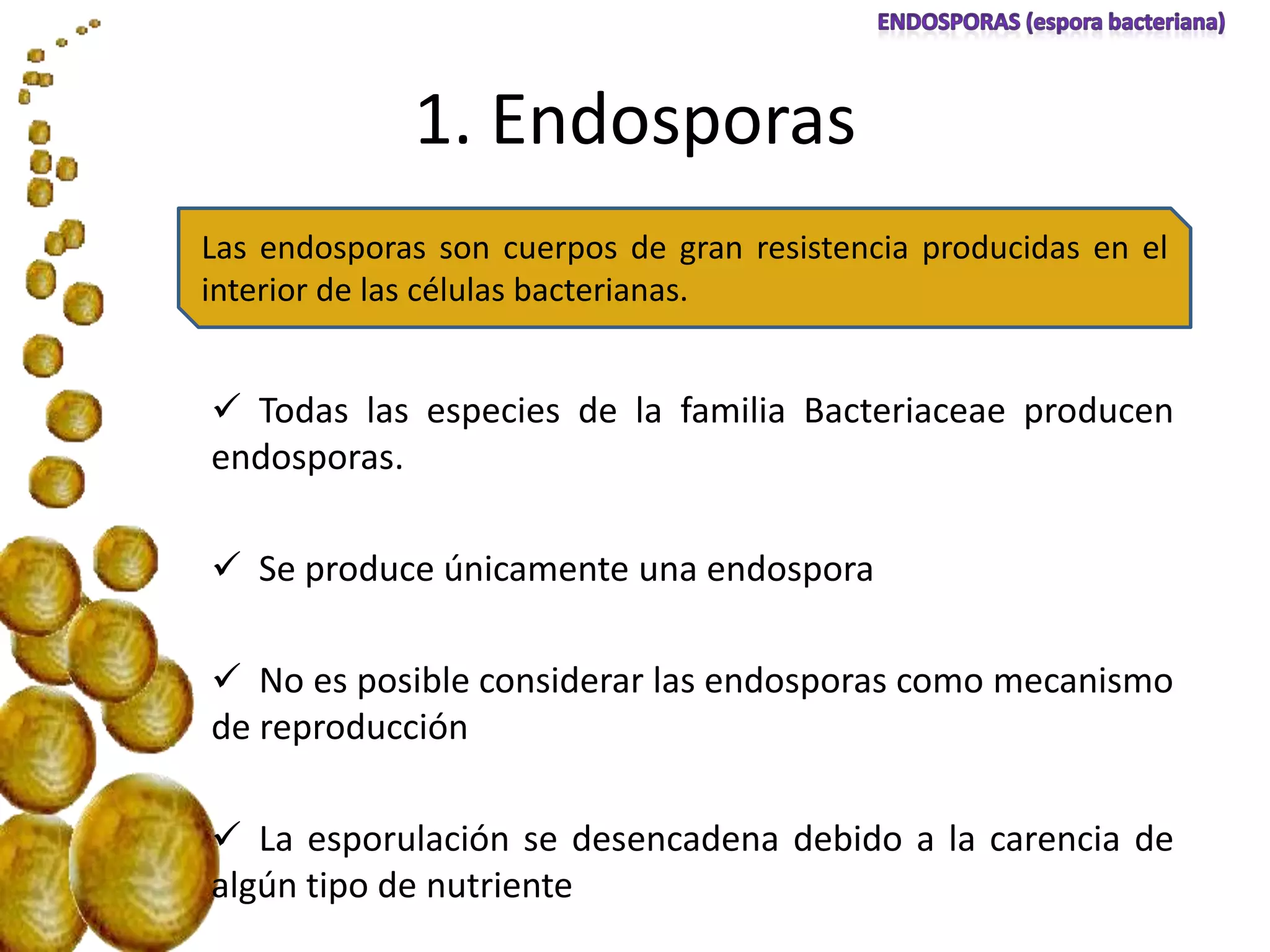 Endospora Ppt