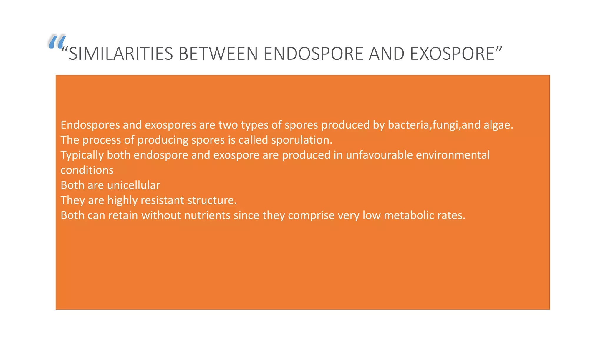 Endospore and Exospore | PPTX