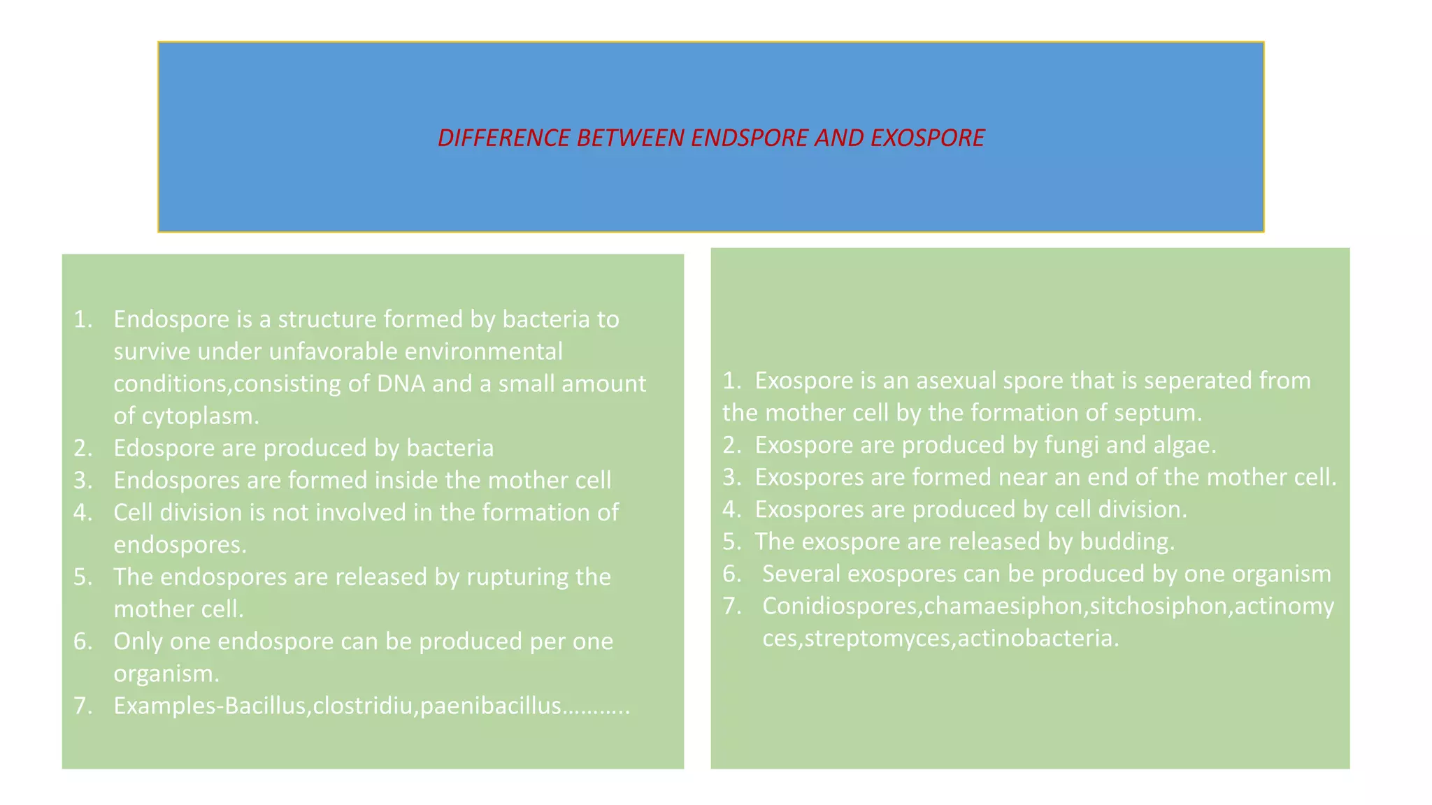 Endospore and Exospore | PPTX