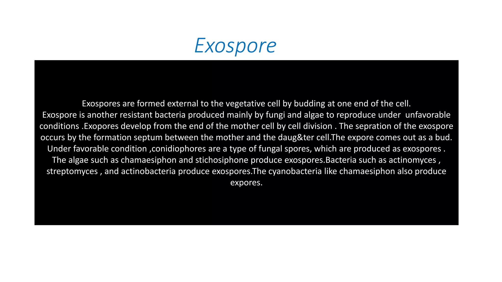 Endospore and Exospore | PPTX