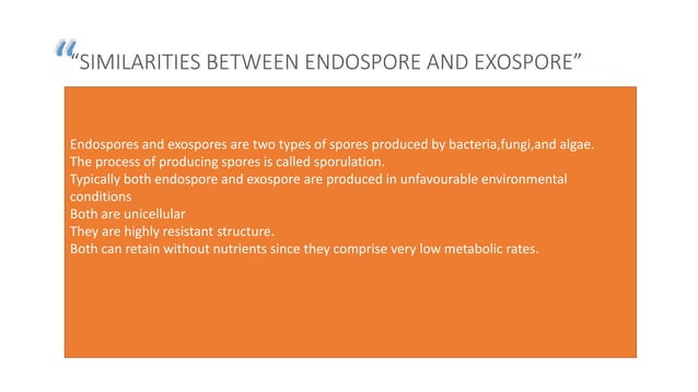 Endospore and Exospore | PPTX
