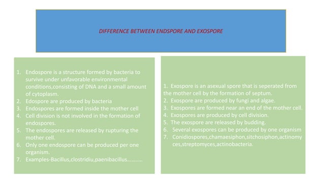 Endospore and Exospore | PPTX