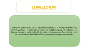 Endospore and Exospore | PPTX