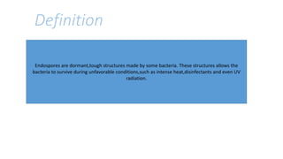 Endospore and Exospore | PPTX