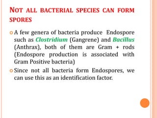 Endospores | PPT | Chemistry | Science